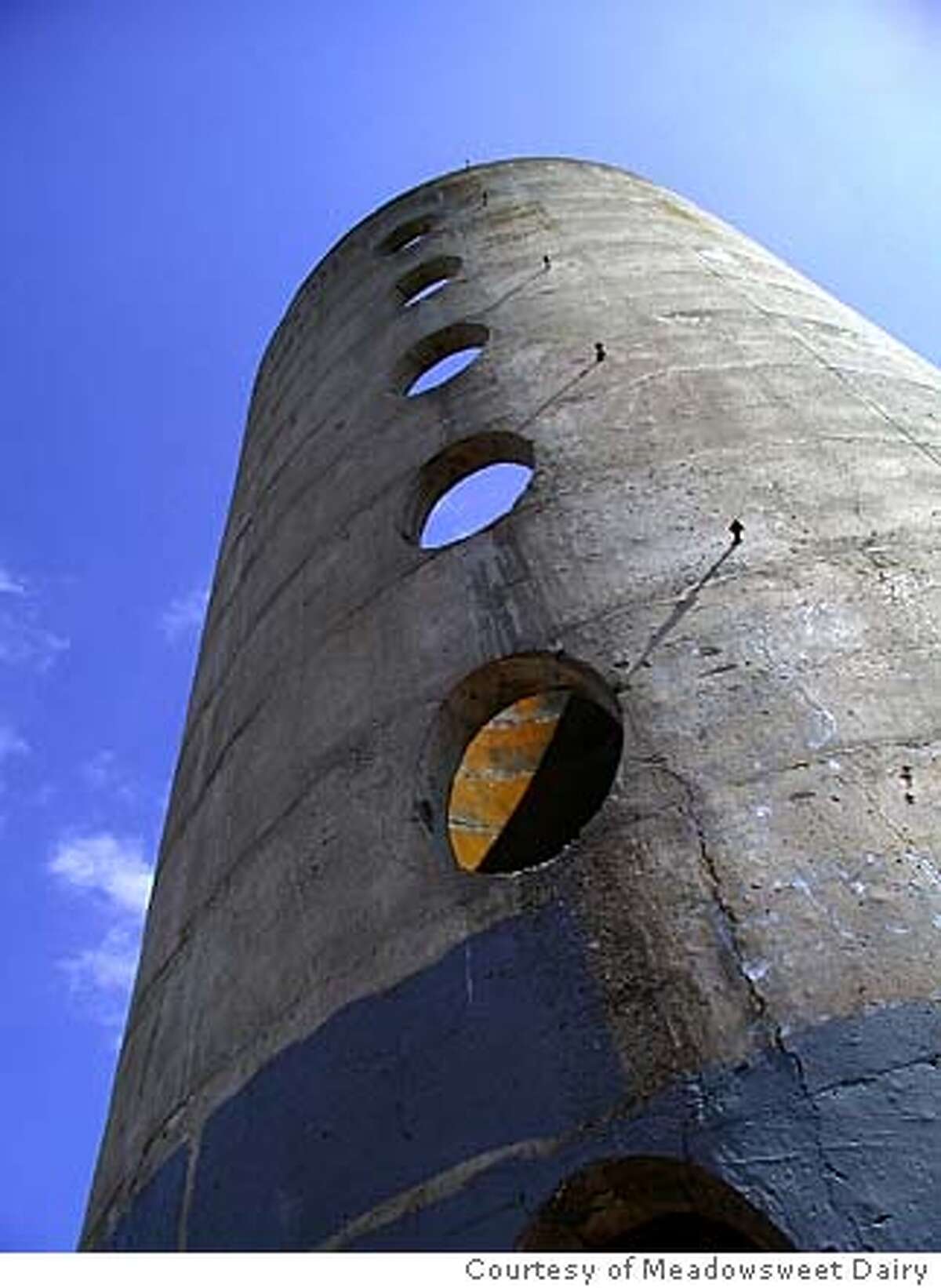 THE ARTS / Is it art? Or is it just a home for bats and birds?