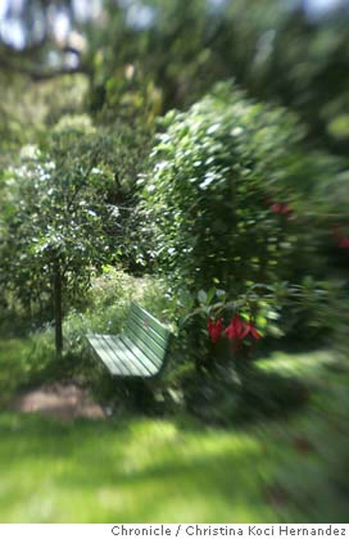 The Windswept Wedding / Or how to take advantage of our drop-dead ...