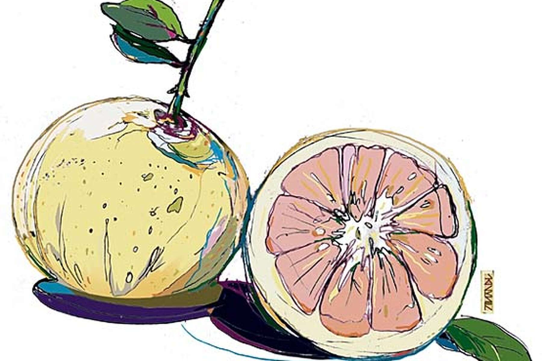 Pomelo Tree Drawing