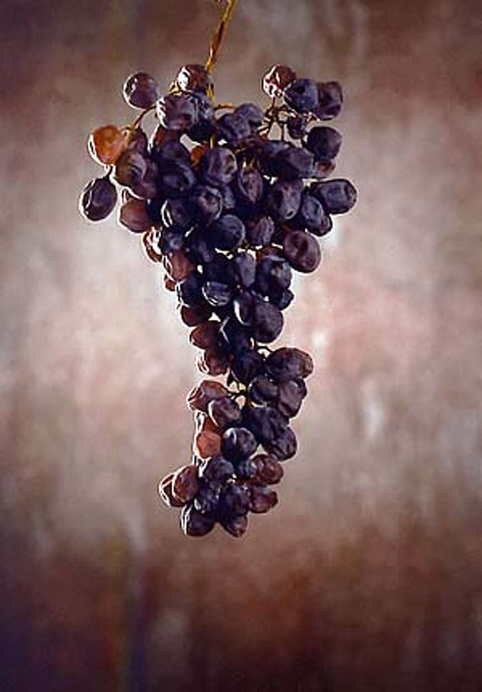 A wrinkle in wine / Made from partially dried grapes, Italian Amarone ...