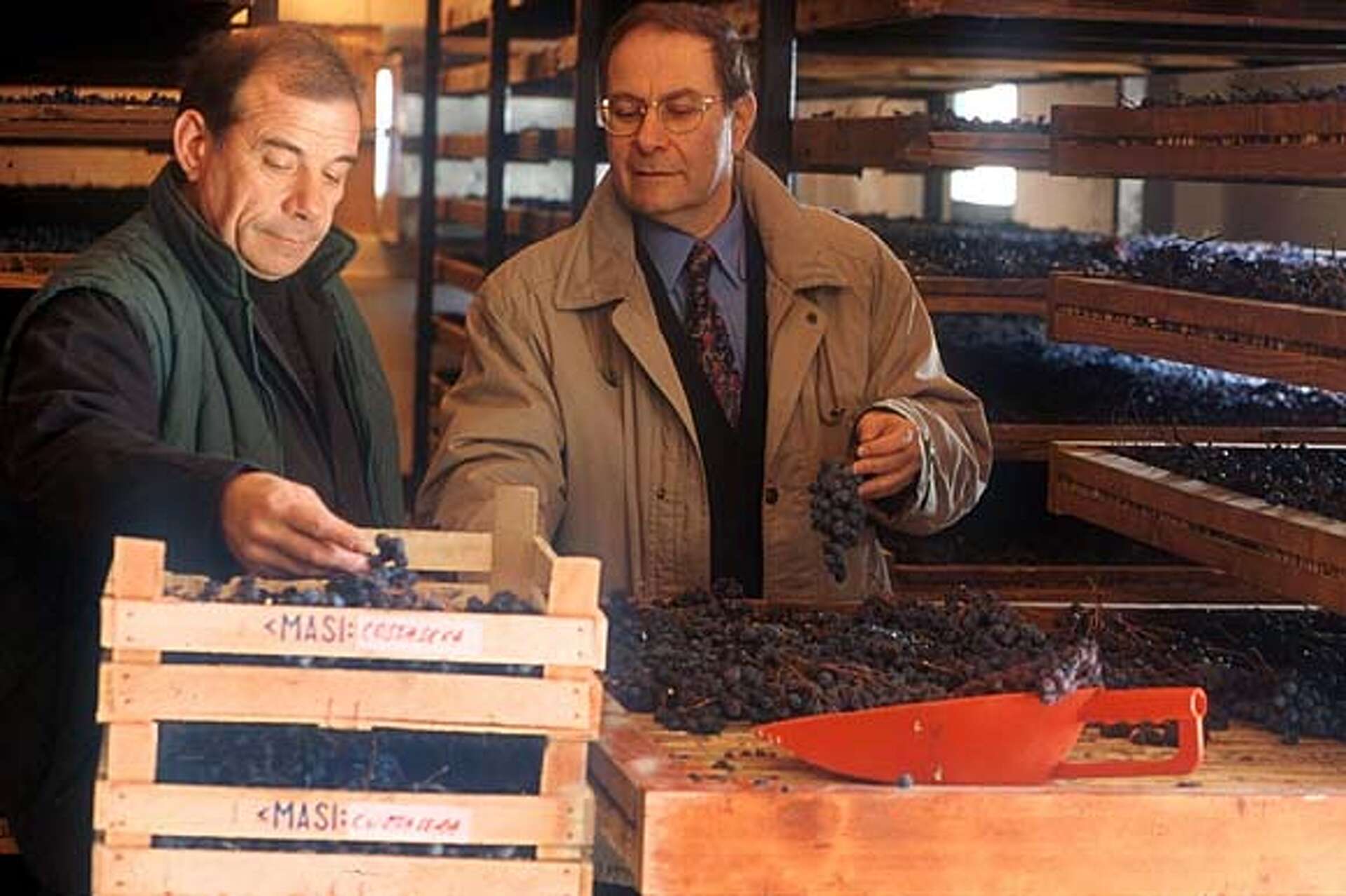 A wrinkle in wine / Made from partially dried grapes, Italian Amarone ...
