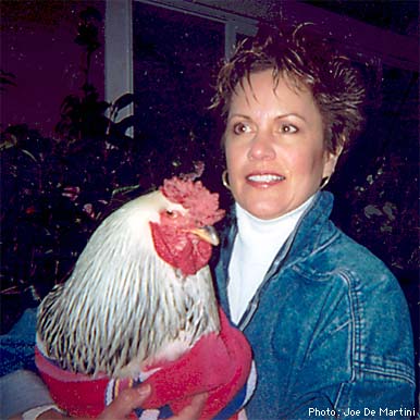 Cluck-Cluck-Cluck! The Contra Costa Chicken Woman