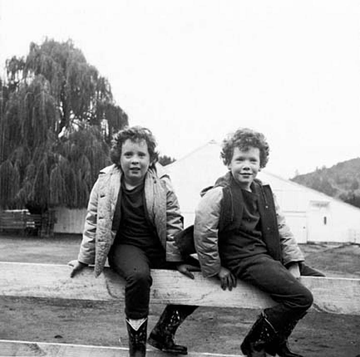 Hollywood to vine / A film star's daughter returns home to a Pinot paradise