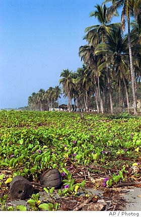 Solitude at the SHORE / Rural corner of Mexico coast offers peace, room ...