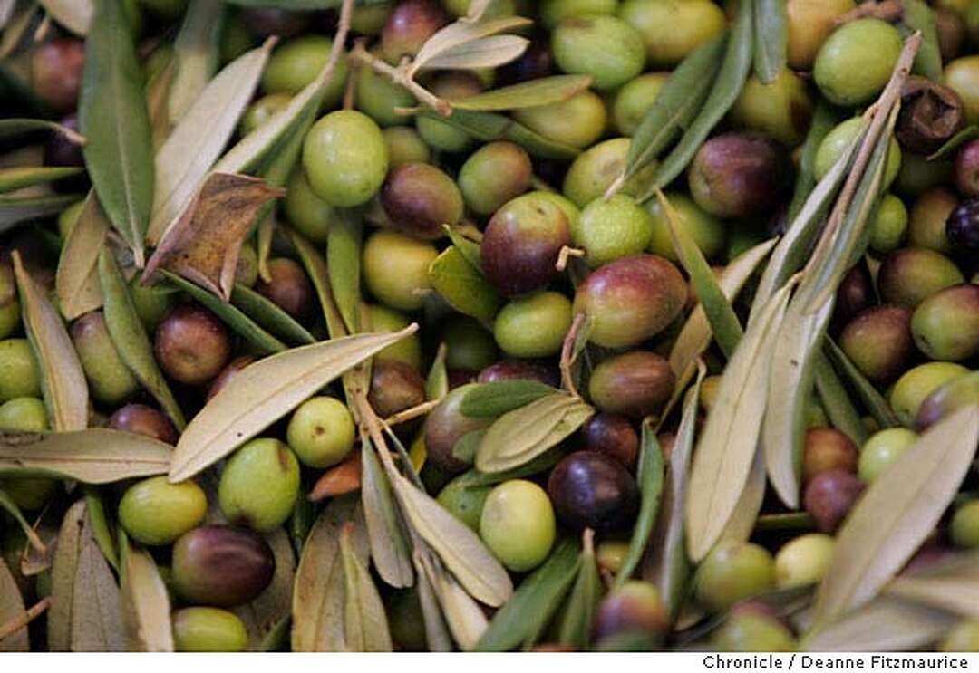 From printing press to olive press / Former publisher Nan Tucker McEvoy ...