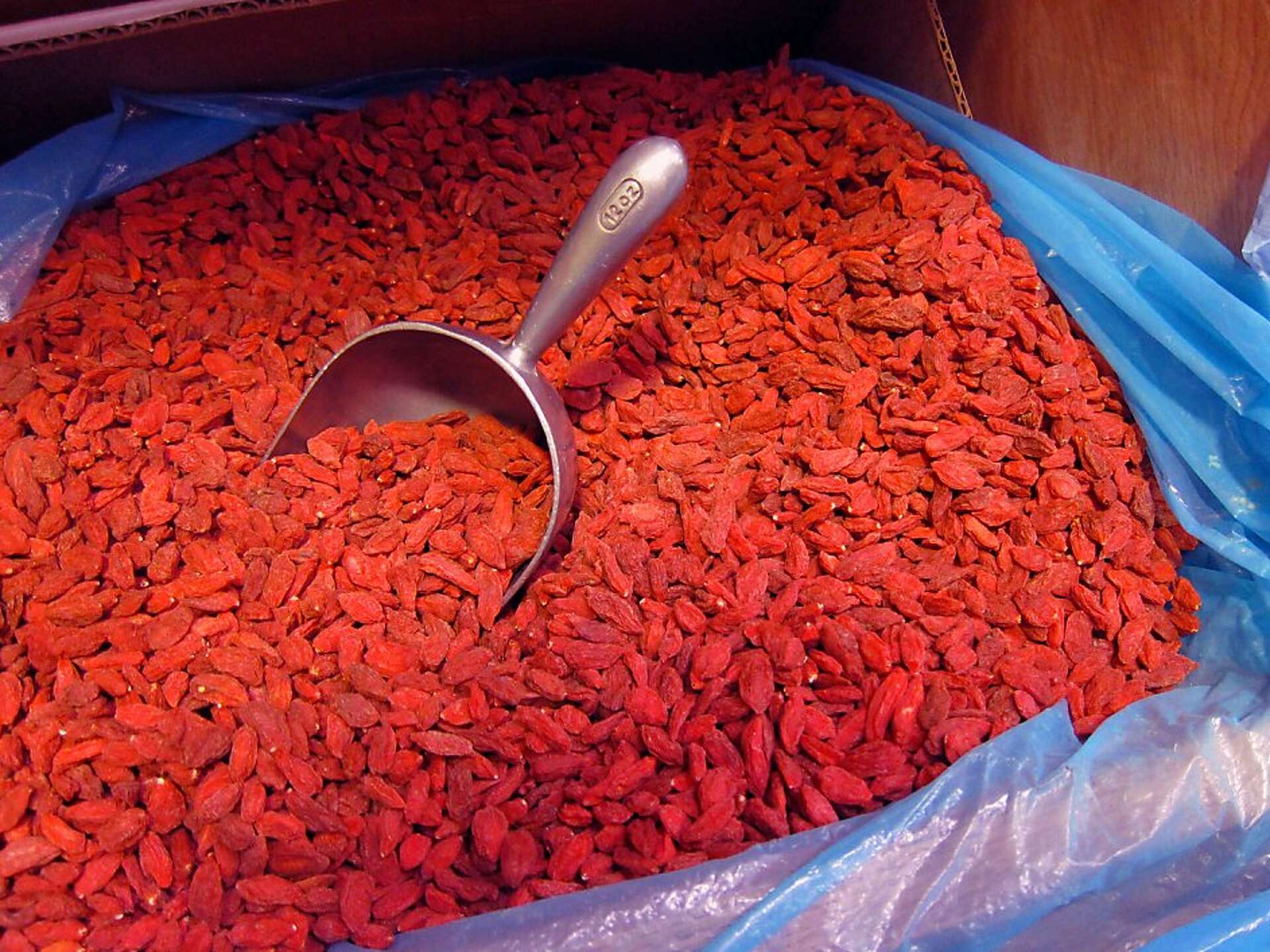 Growing goji berries in the Bay Area