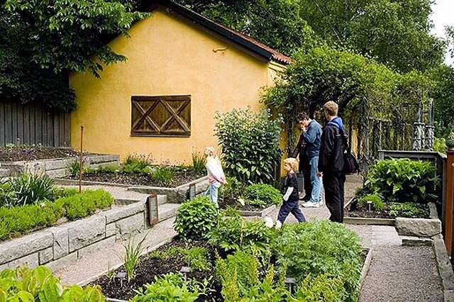 Renaissance garden grows insight into the lives of long-gone sailors