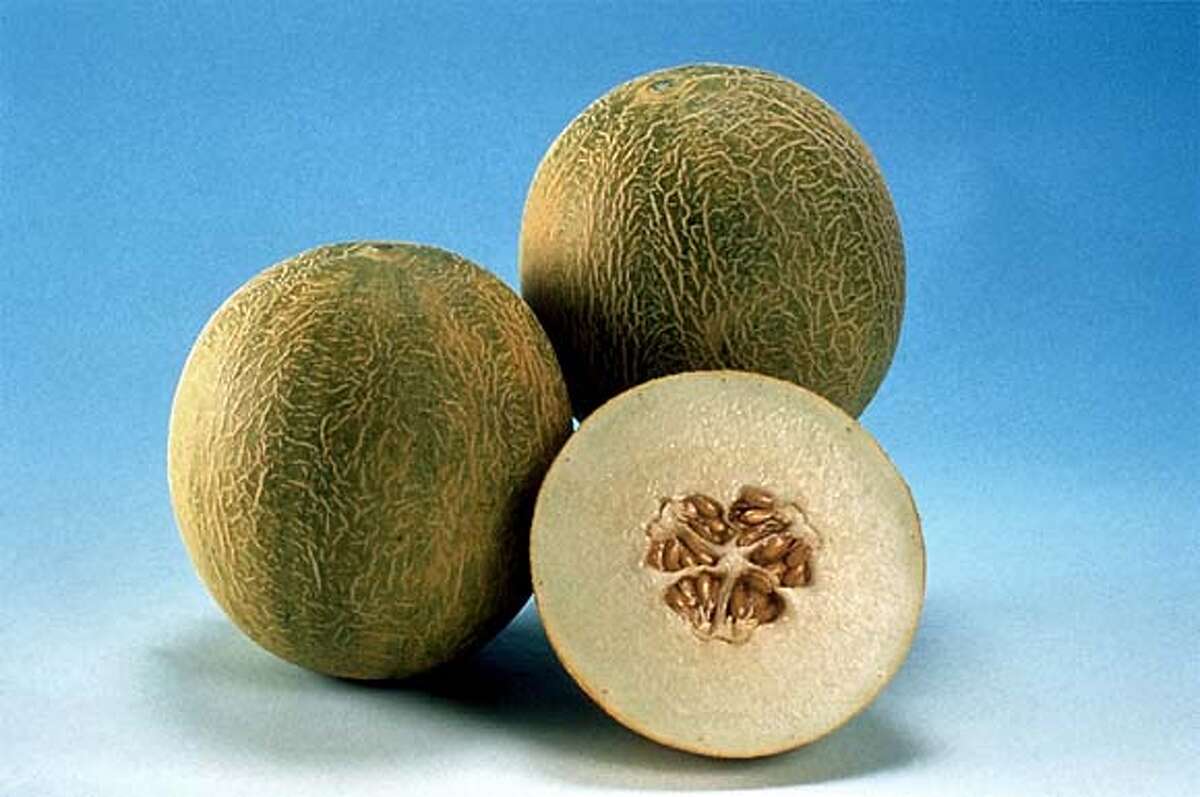 Raising sweet and luscious melons at home