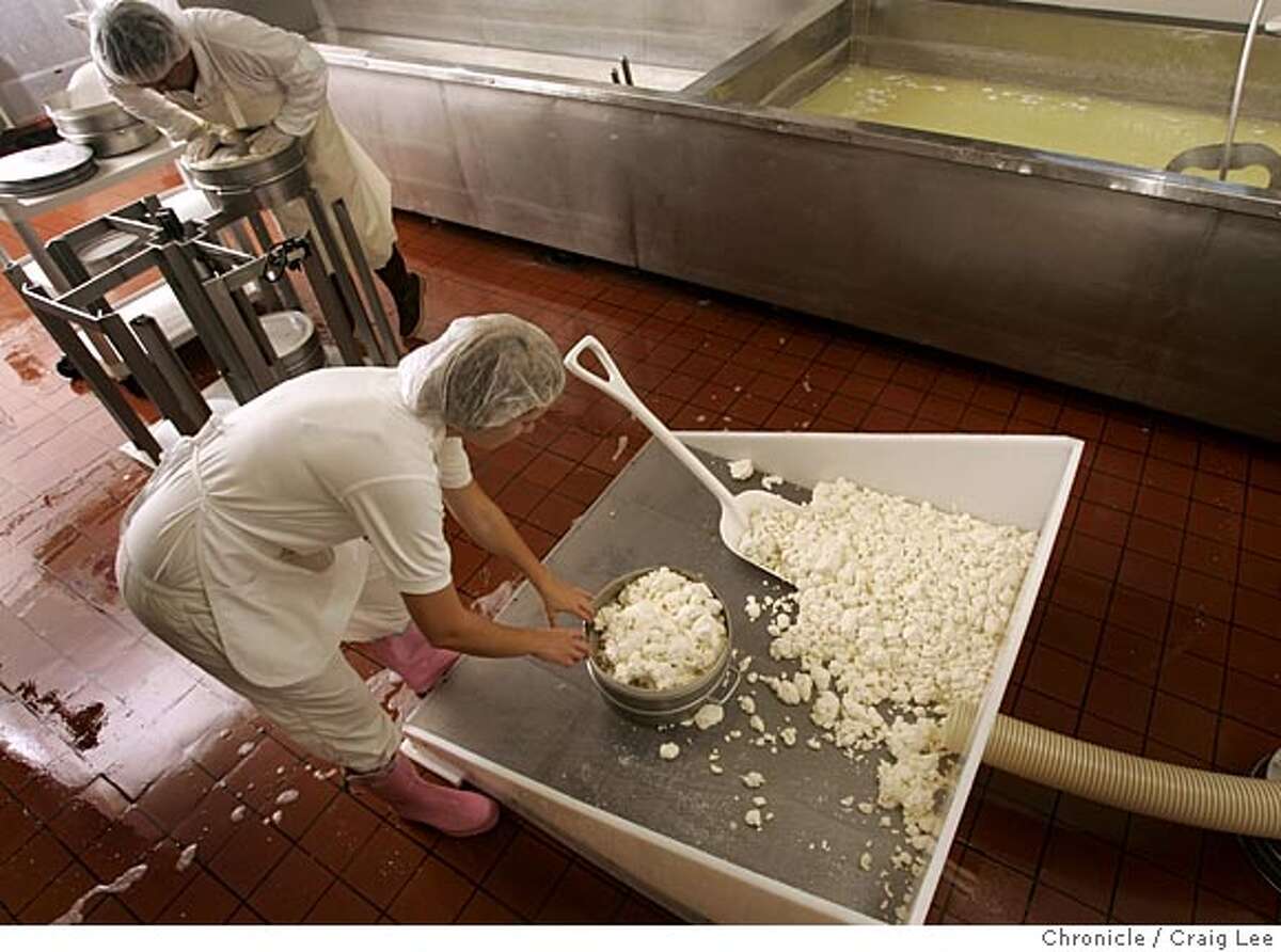 Reinventing the wheel / Young Central Valley cheesemaker churns out an ...