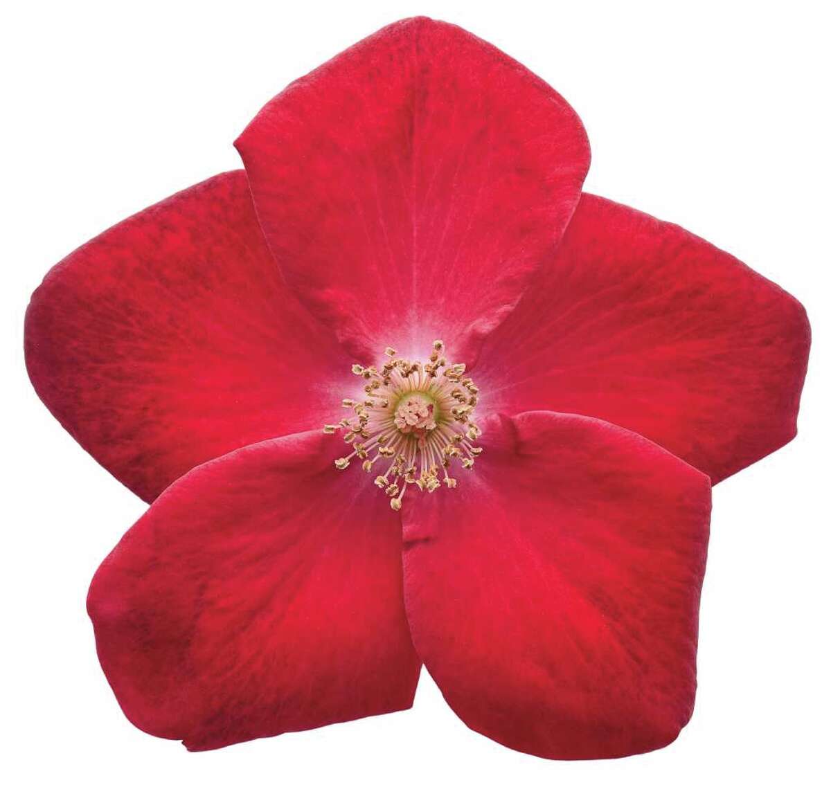 New plants are coming