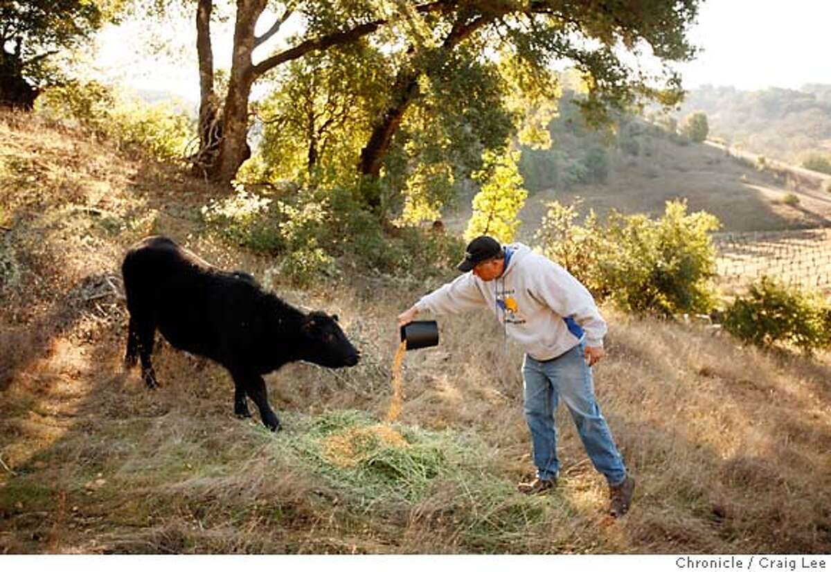 The little appellation that could / With only 189 acres, Cole Ranch is ...