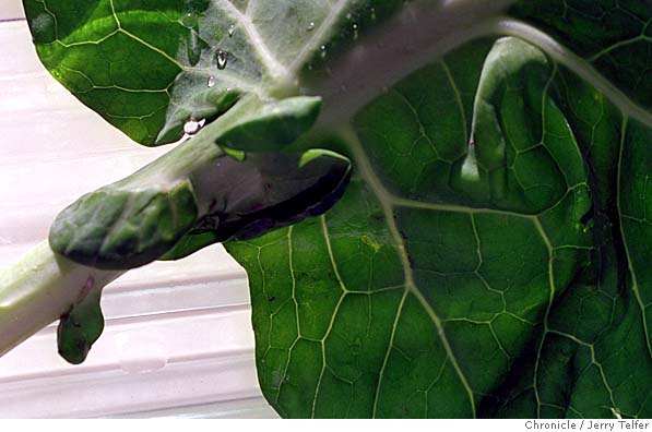 Collards / Underrated collards so full of minerals you can taste 'em