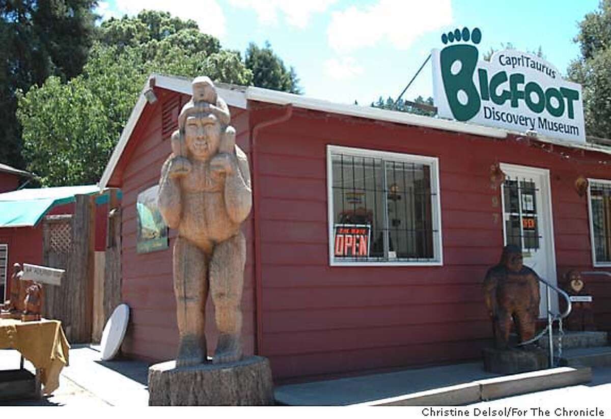 Forest of mystery / New Bigfoot museum joins Mystery Spot near Santa Cruz