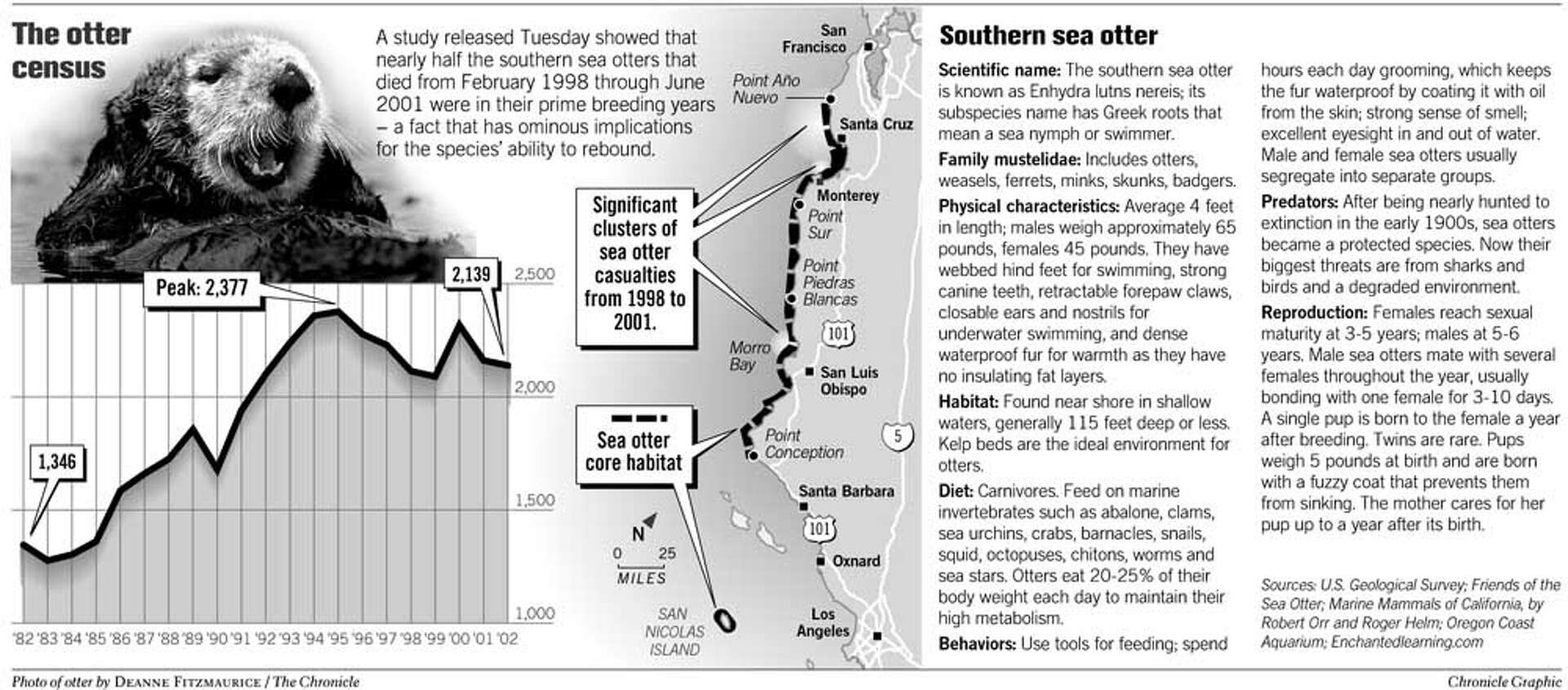 MYSTERIES OF THE ANIMAL WORLD / SEA OTTERS: They're dying because their ...