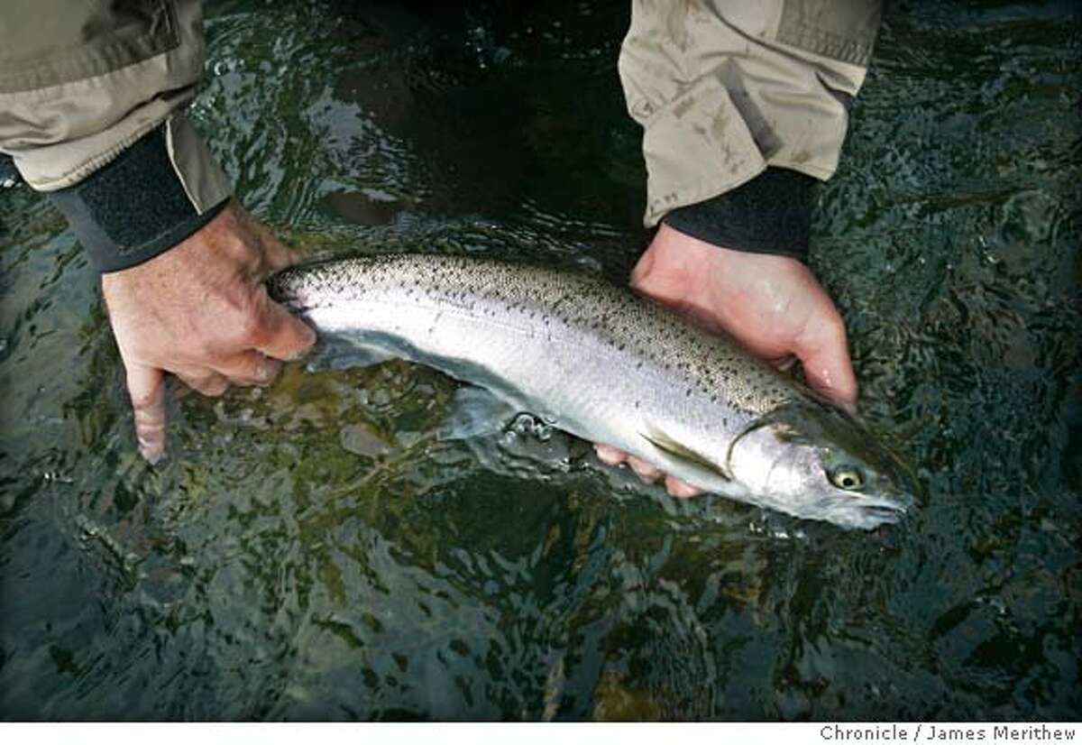 GONE FISHING / Into Cold Water / Winter steelheading on the Trinity River
