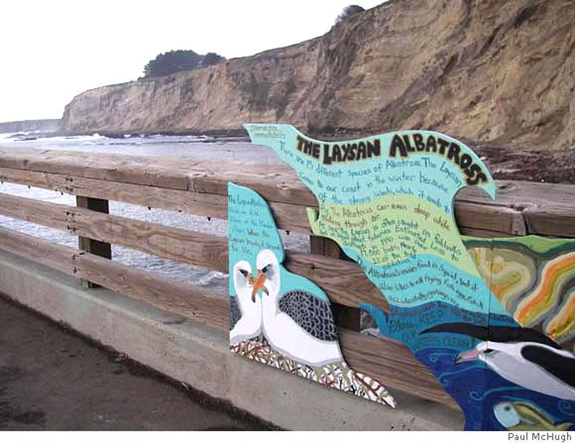 'THE ALBATROSS IS BACK' / Mr. Al B. Tross has a following at Point Arena