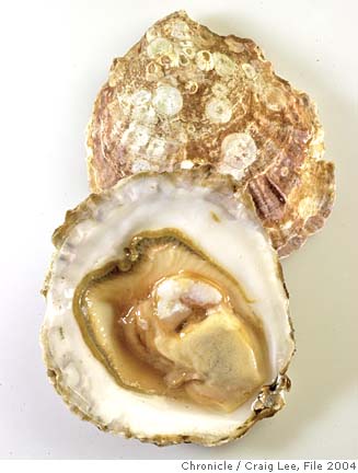 CRITICS' PICKS: Happiness on the half shell / SLURP, SIP AND ENJOY THE VIEW