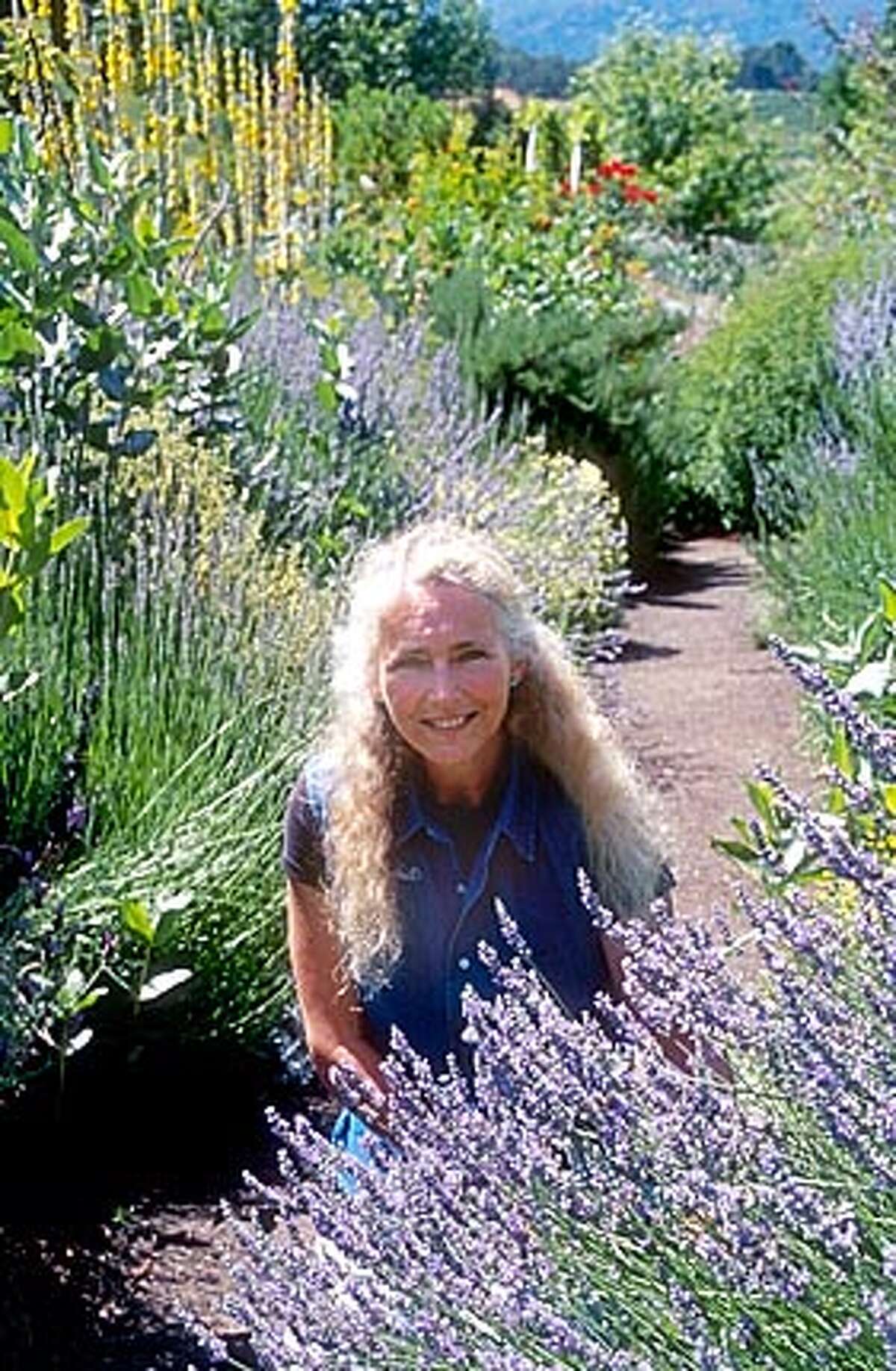 Fetzer garden wins Chelsea gold / Bonterra label's organic showcase ...