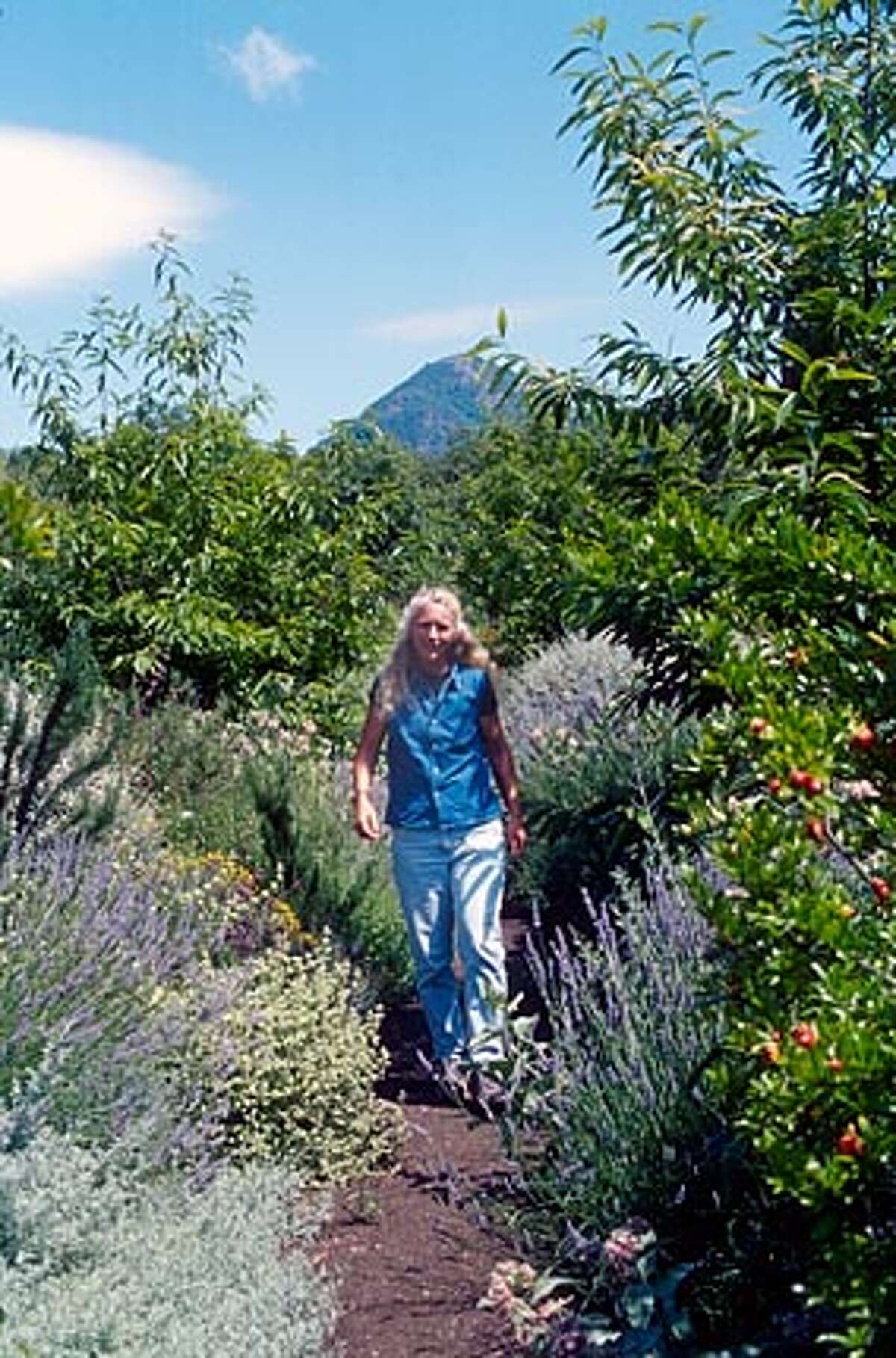 Fetzer garden wins Chelsea gold / Bonterra label's organic showcase ...