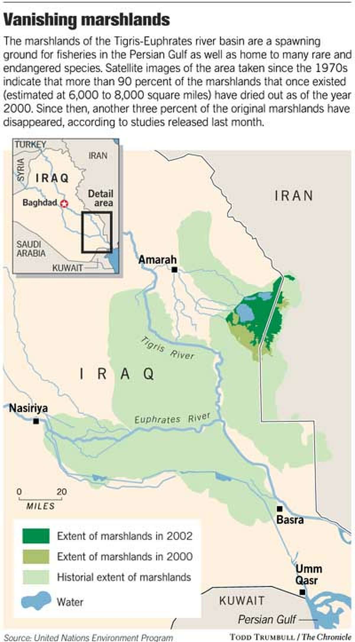 A dream of restoring Iraq's great marshes / Wetlands destroyed by ...