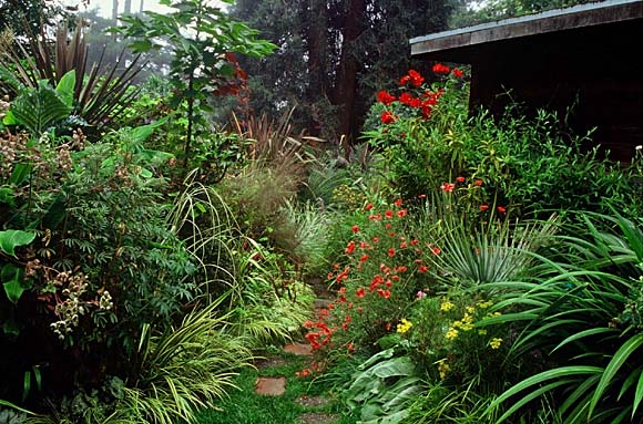 Evolution in the garden / Survival of the fittest not a bad strategy ...