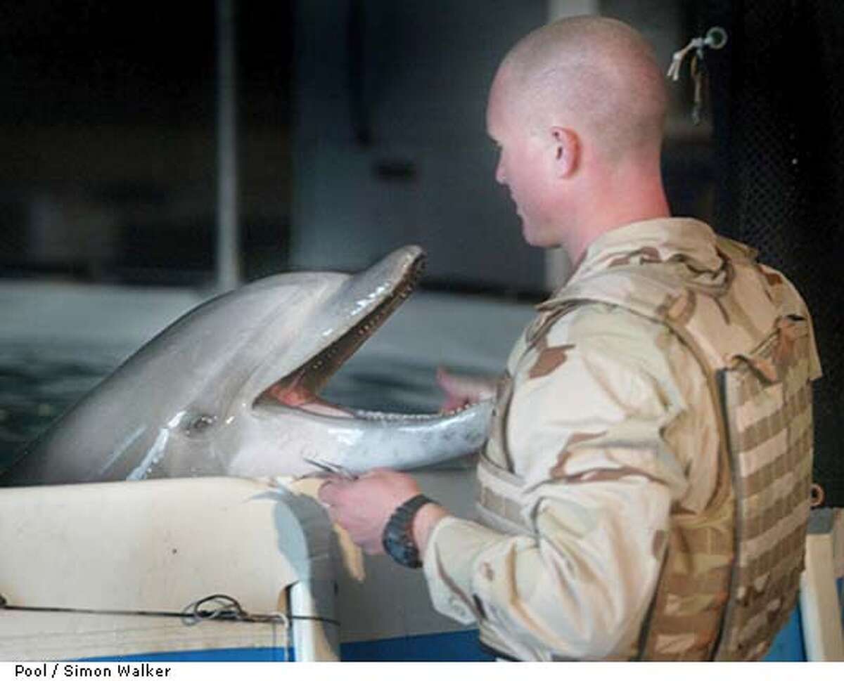 GRITTY FIREFIGHT: 3rd Infantry hold off Iraqi ground attack during ...