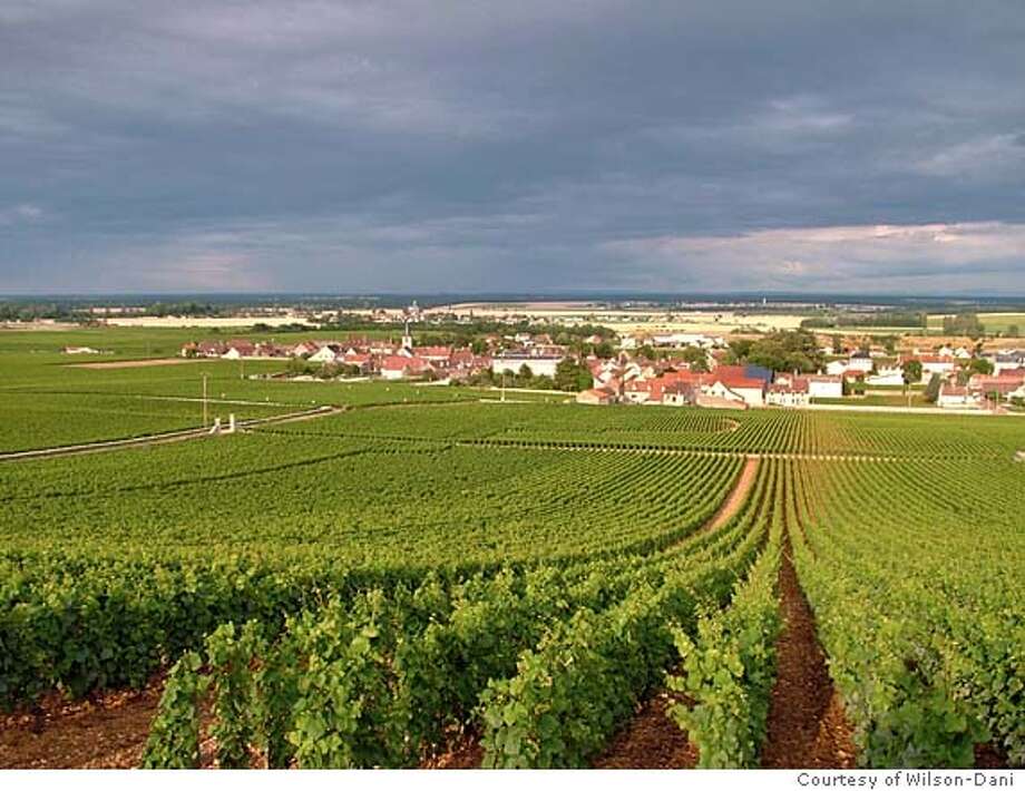 DRC declares 2002 a fine vintage - SFGate