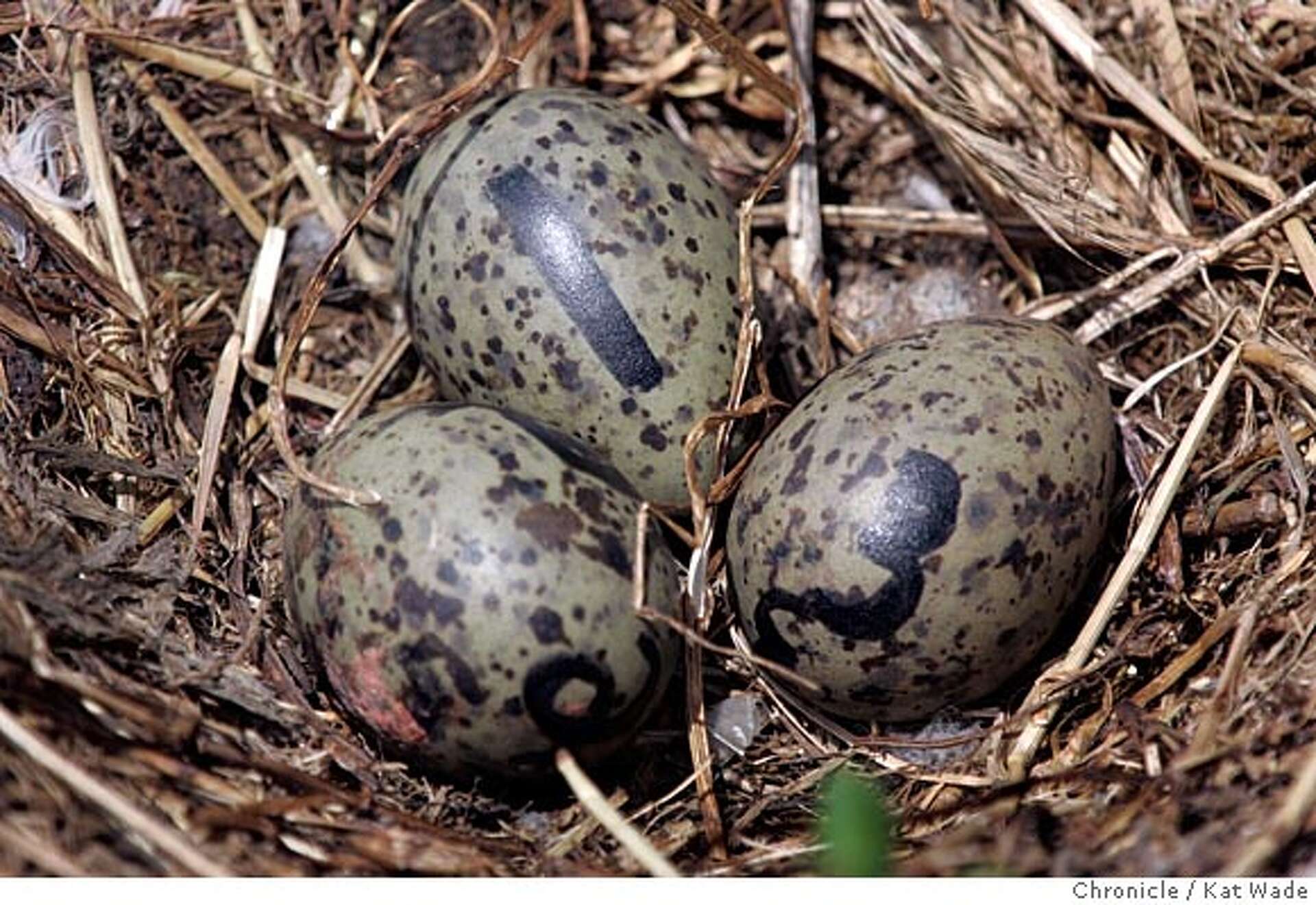 It's for the seabirds / The Farallon National Wildlife Refuge is also ...