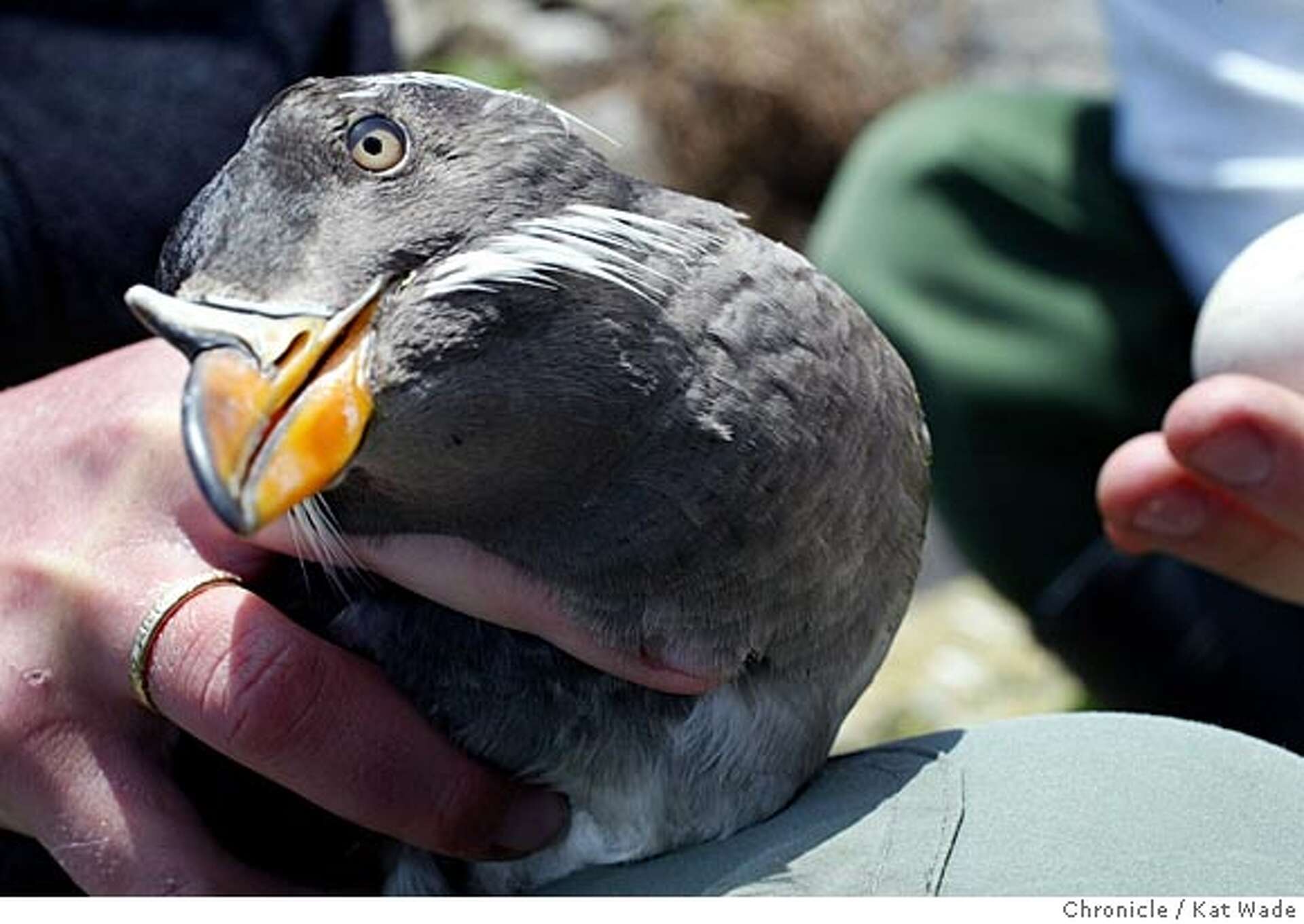 It's for the seabirds / The Farallon National Wildlife Refuge is also ...