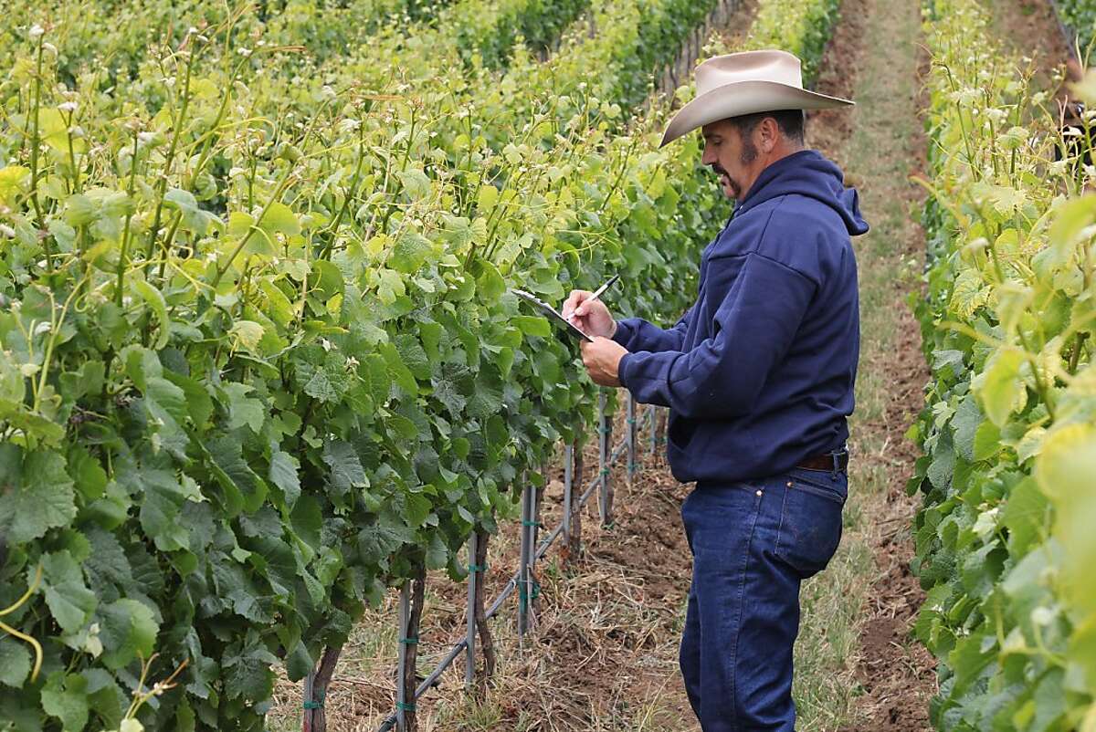 Kendall-Jackson president on 'Undercover Boss'