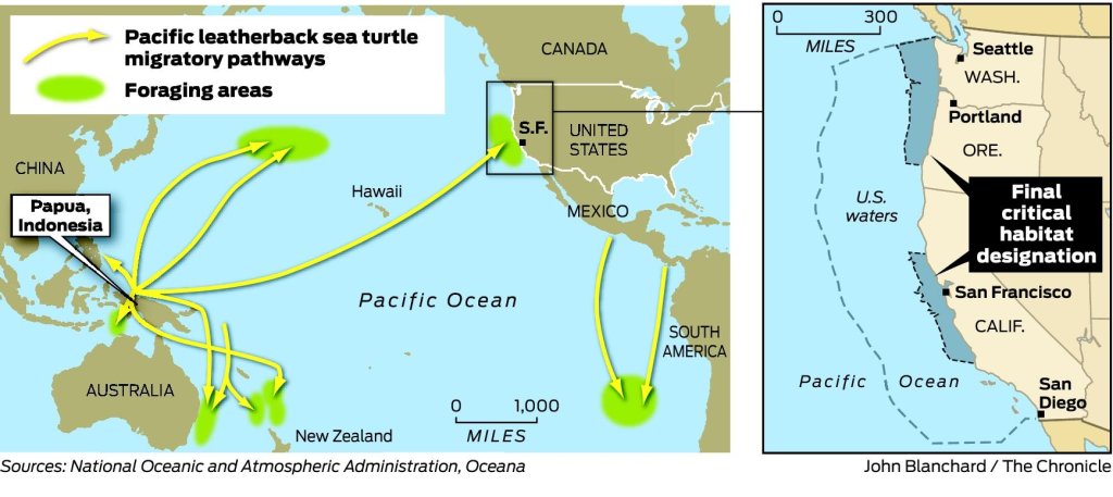 Leatherback Sea Turtle Habitat Map