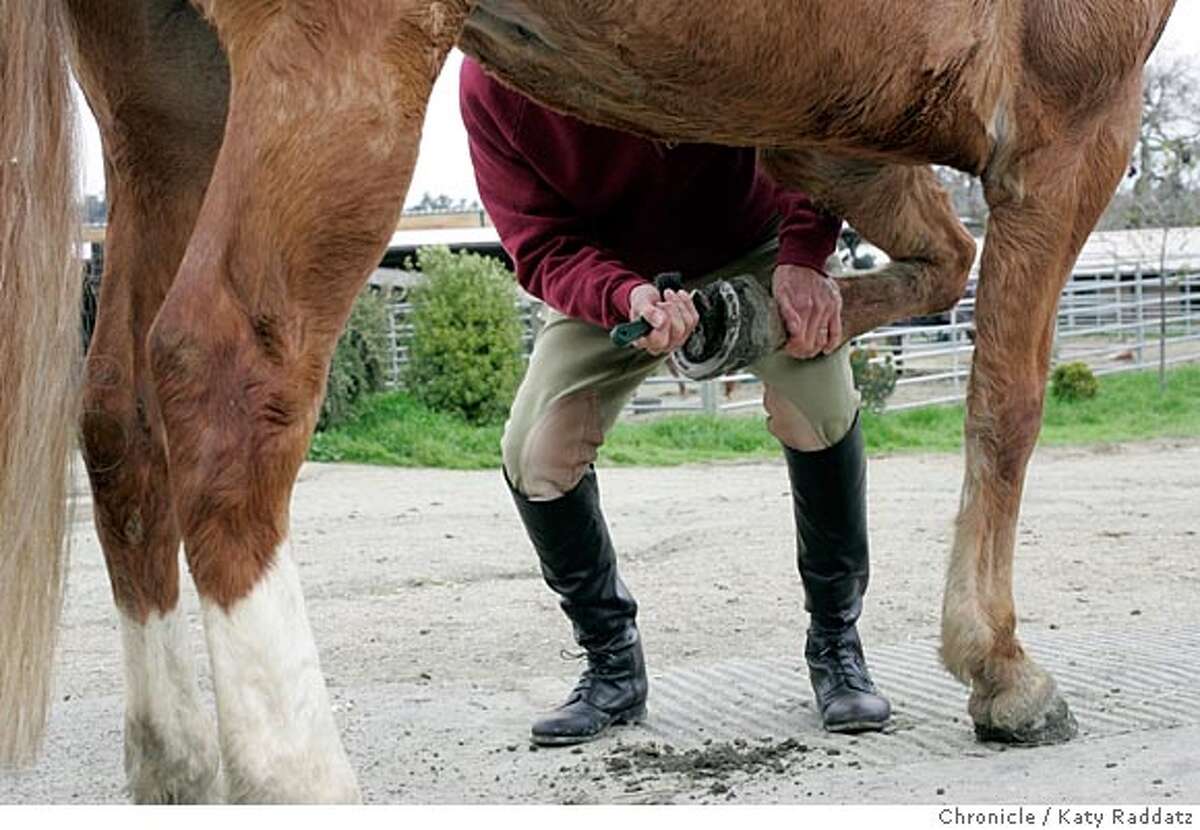 Little retiring about Manne / Former Stanford professor, 80, finds life ...