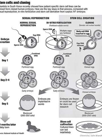 Fast-moving cloning developments spark new worries / Oversight concerns ...