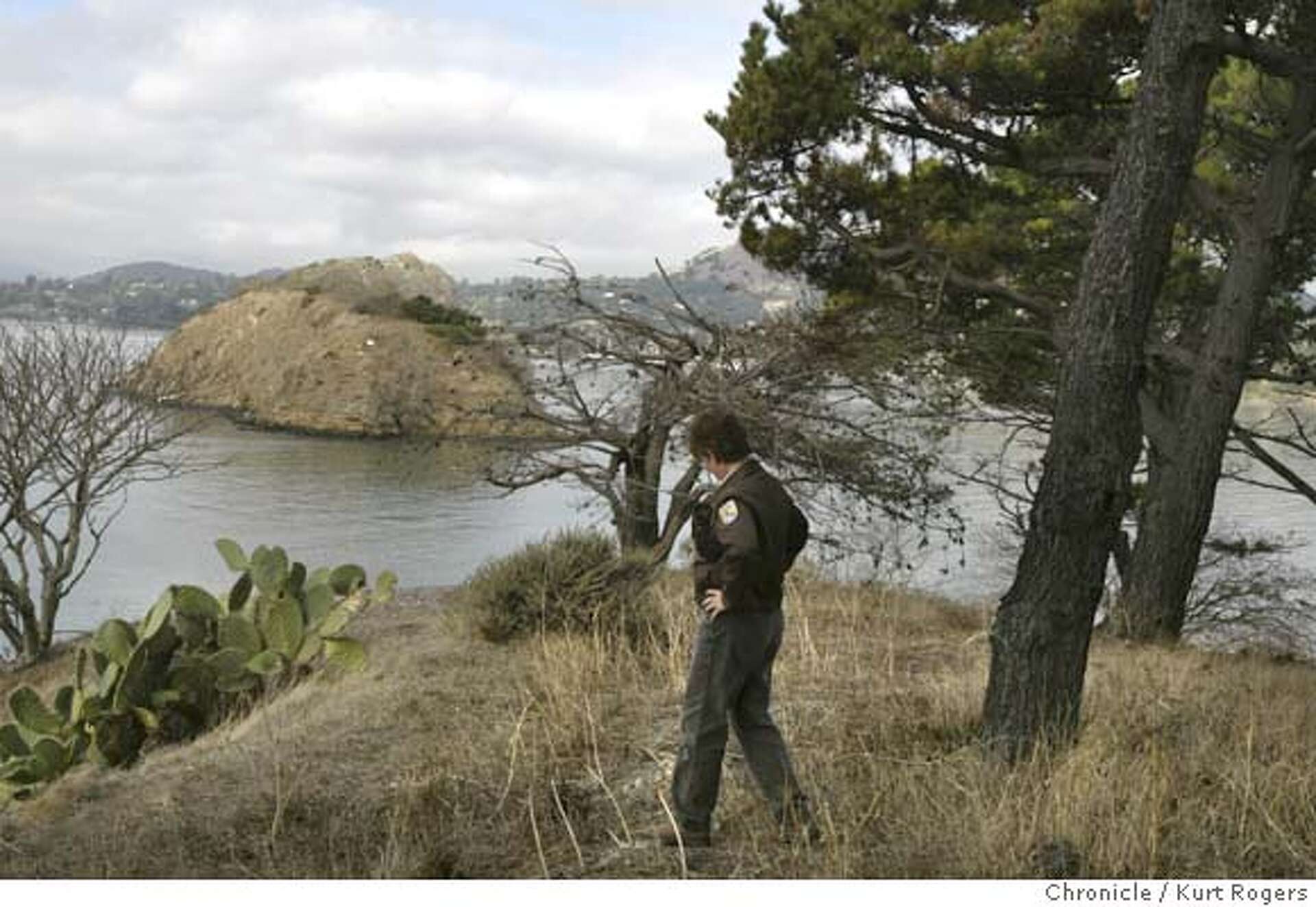 SAN RAFAEL / Refuge in the bay / Birds dwell on islands once visited by ...