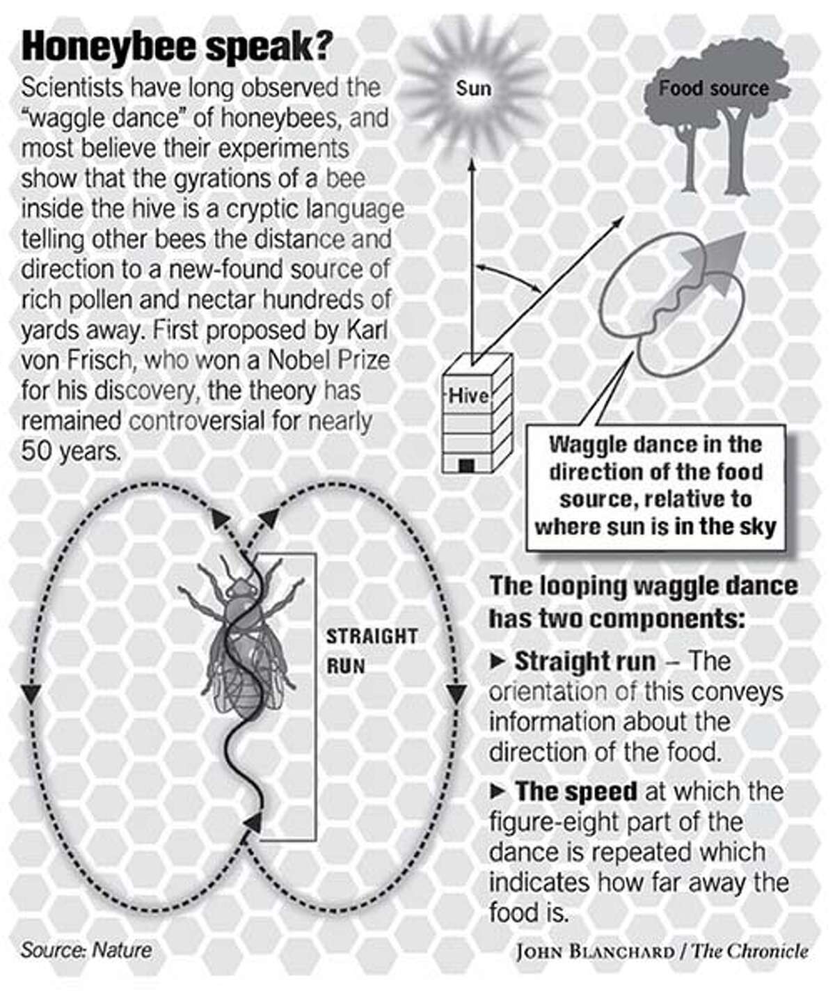 Wrangle over 'Waggle dance' / New study on insect communication puts ...