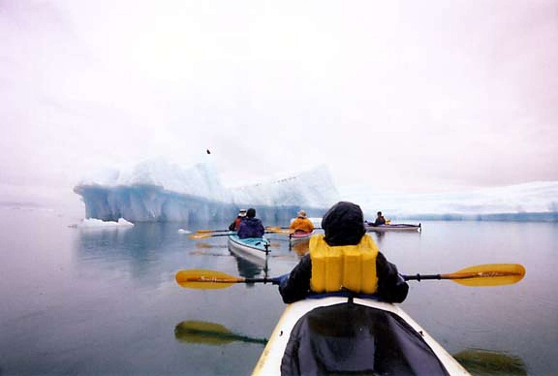 DESTINATION / ALASKA / Ol' Blue Ice is unplugged / Glacier bays free of ...