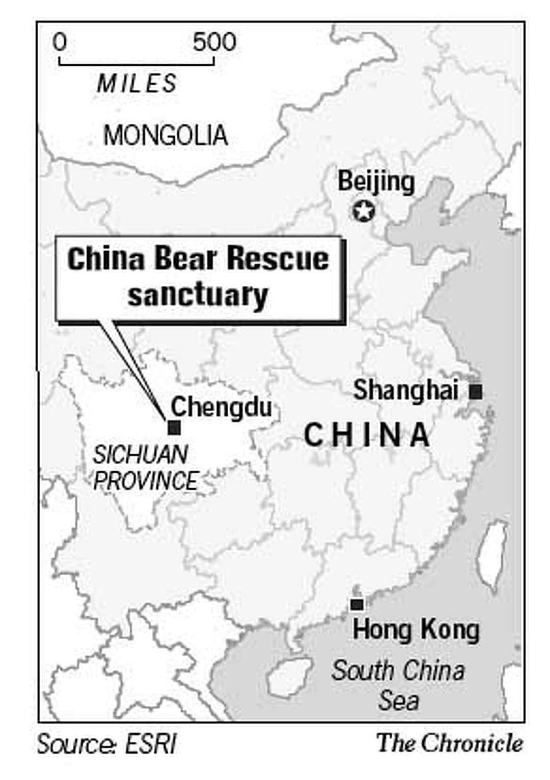 Freeing China's caged bile bears / Animal activists aim to curtail ...