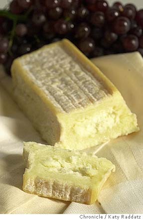 Lingot put out to pasteurize