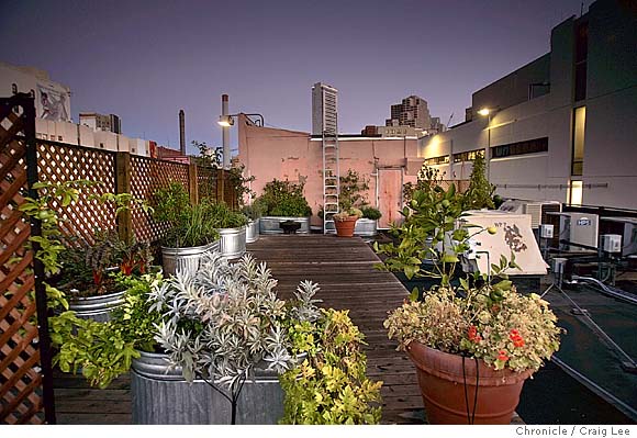 Rooftop harvest / Fruits, vegetables and herbs grown in an urban ...