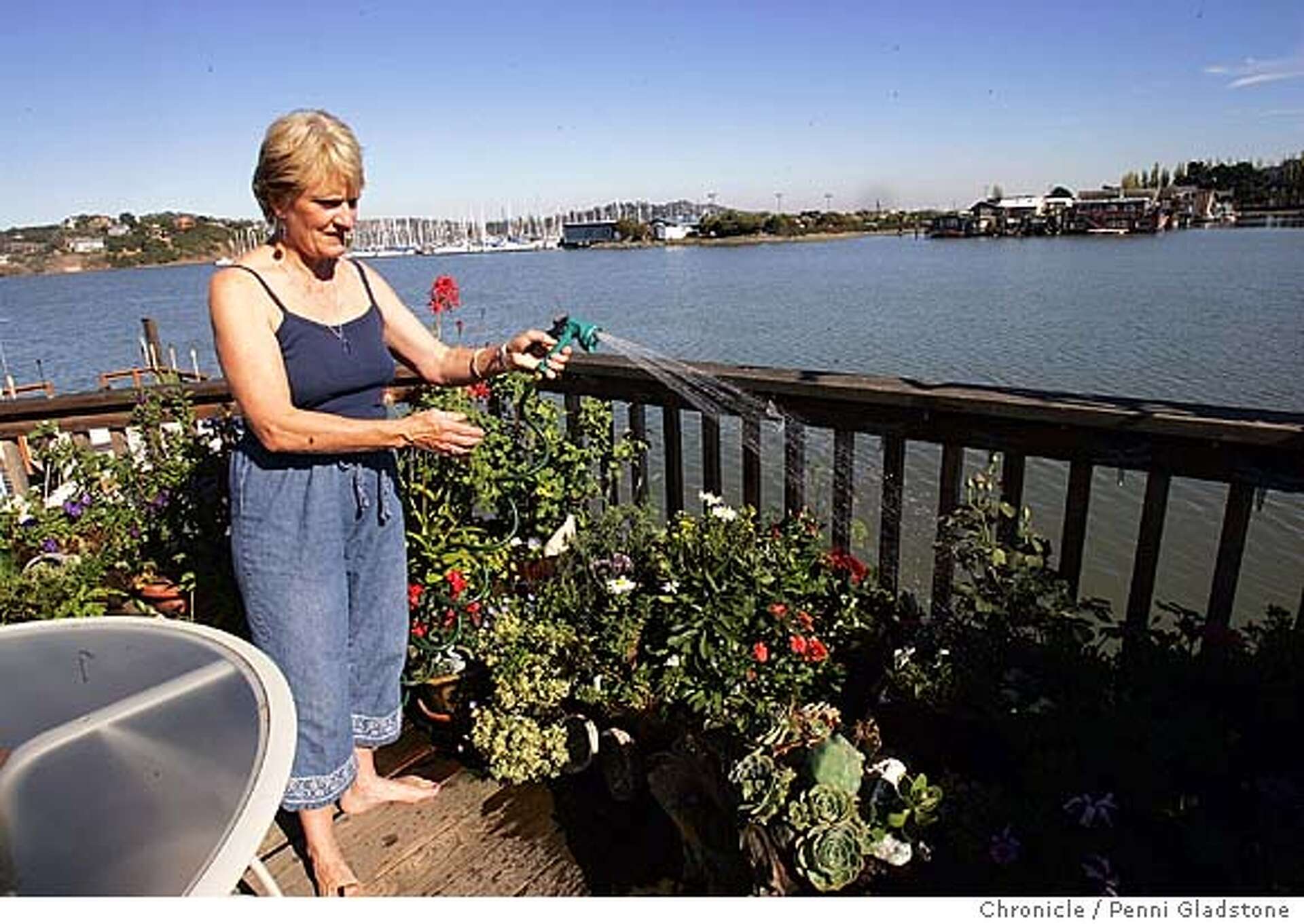The floating garden / Houseboat owners prove that plants can grow on ...