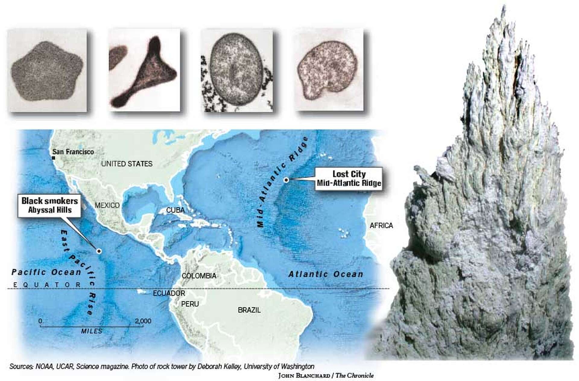 Deep in the oceans, where it's dark and hot, primitive life teems ...