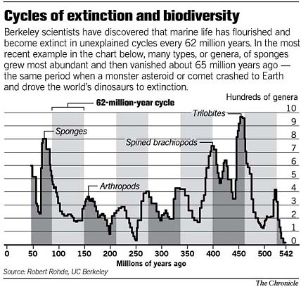 Mass extinction comes every 62 million years, UC physicists discover