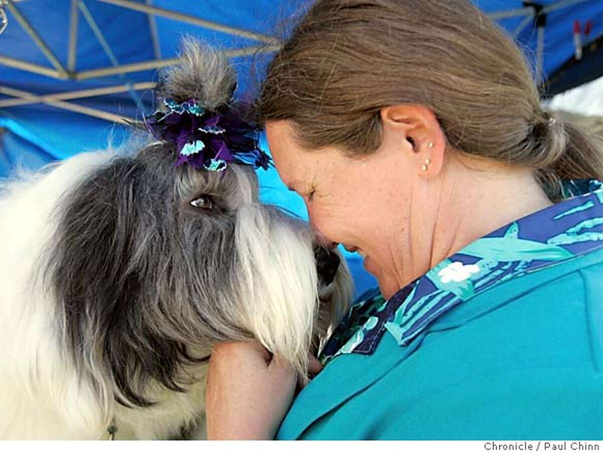 MARIN COUNTY / Dogs run their course at Marin competition