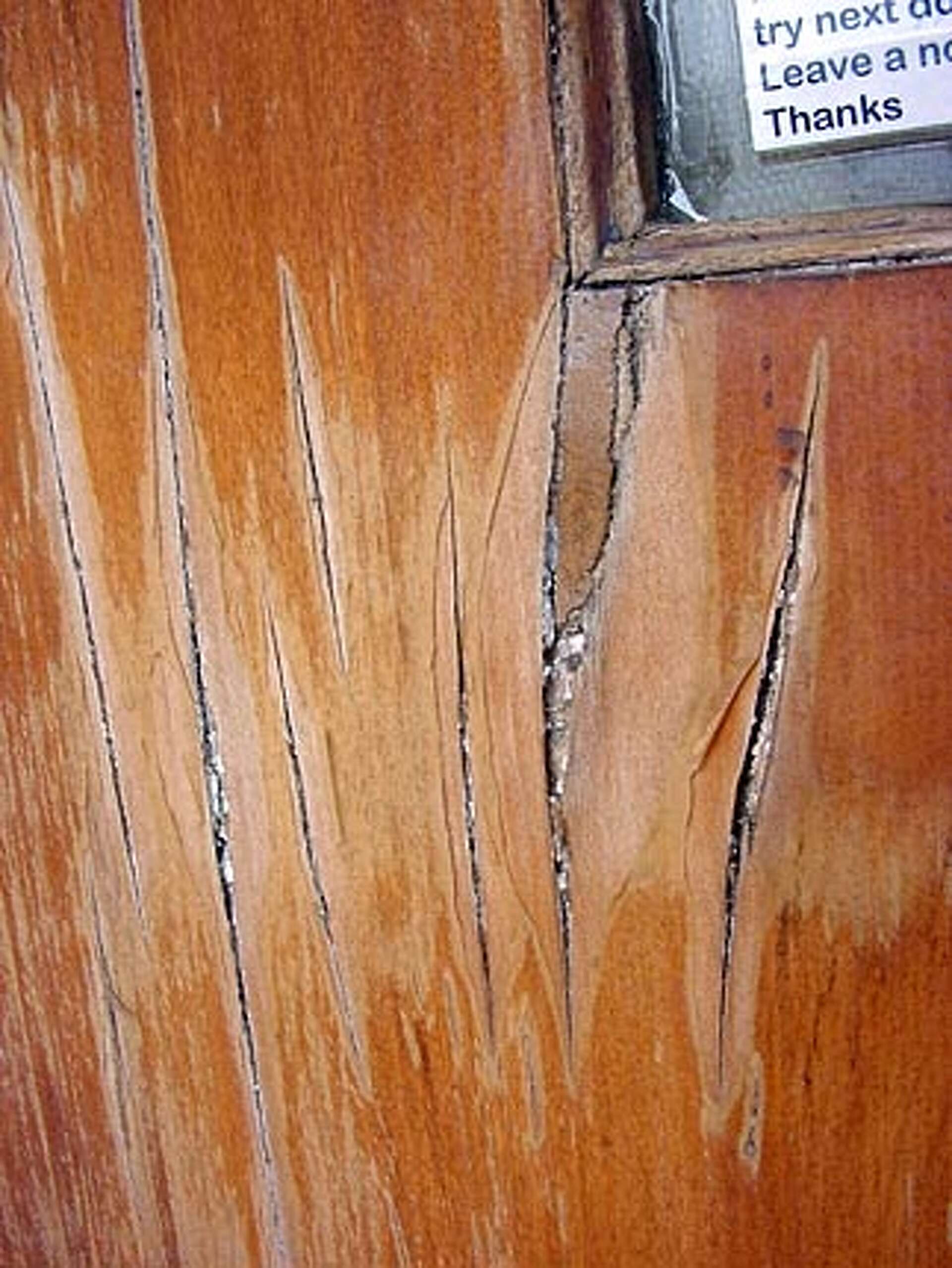 Putting new front on an old door