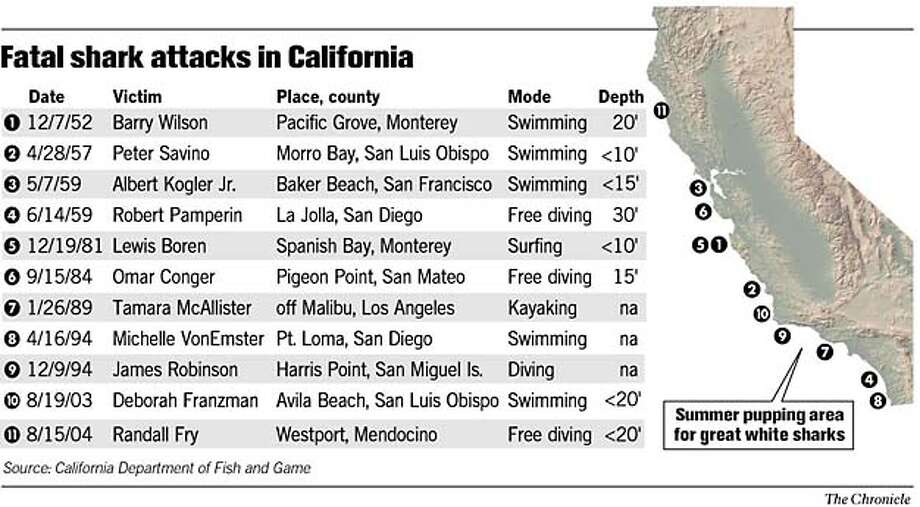 Shark attack kills diver off Mendocino coast / Man's buddy says fish ...