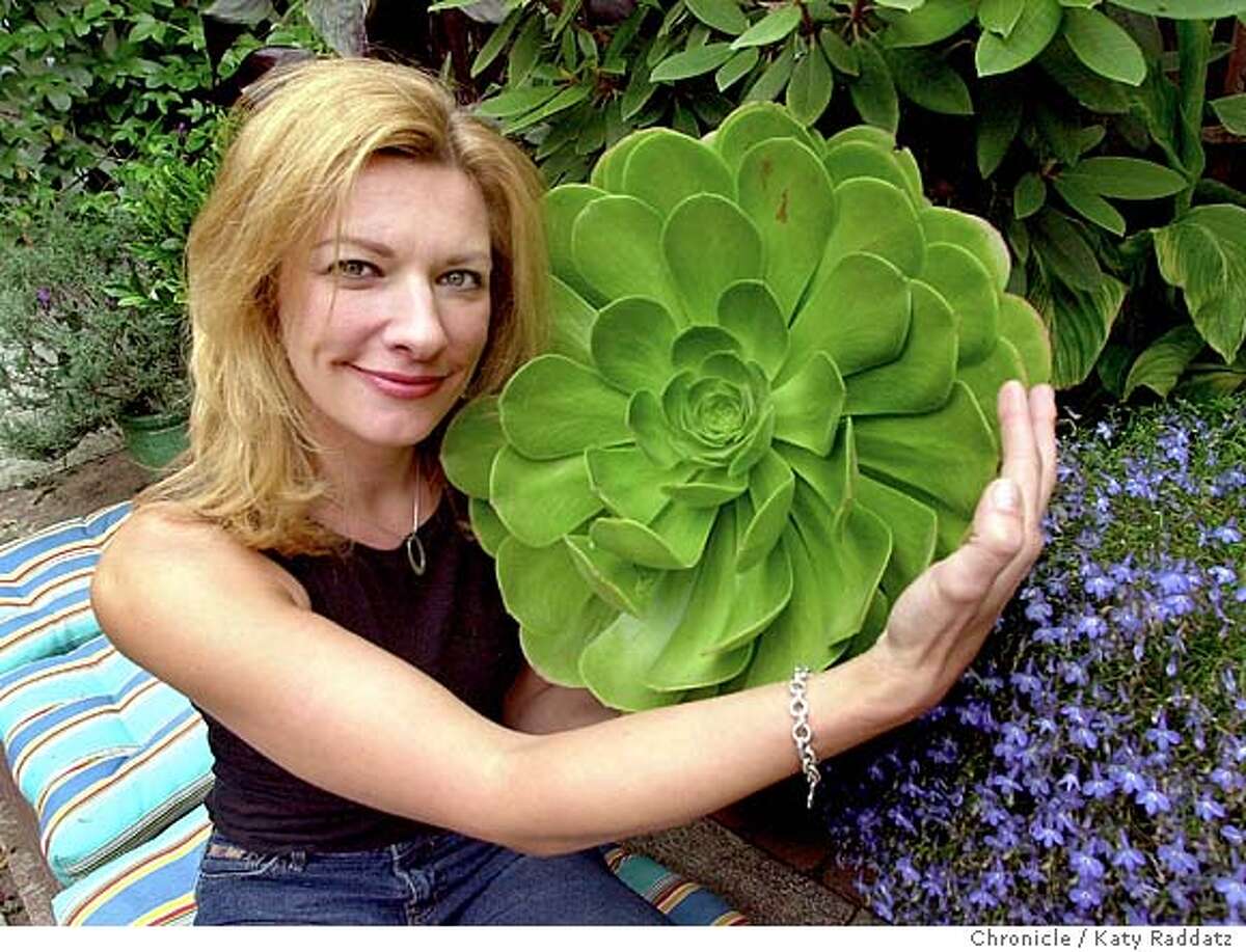 Mini to the max / Turning the backyard into an outdoor 'room' for ...