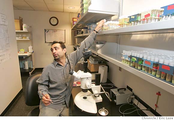 NOVATO / The flies have it for researcher's longevity work / Scientist ...