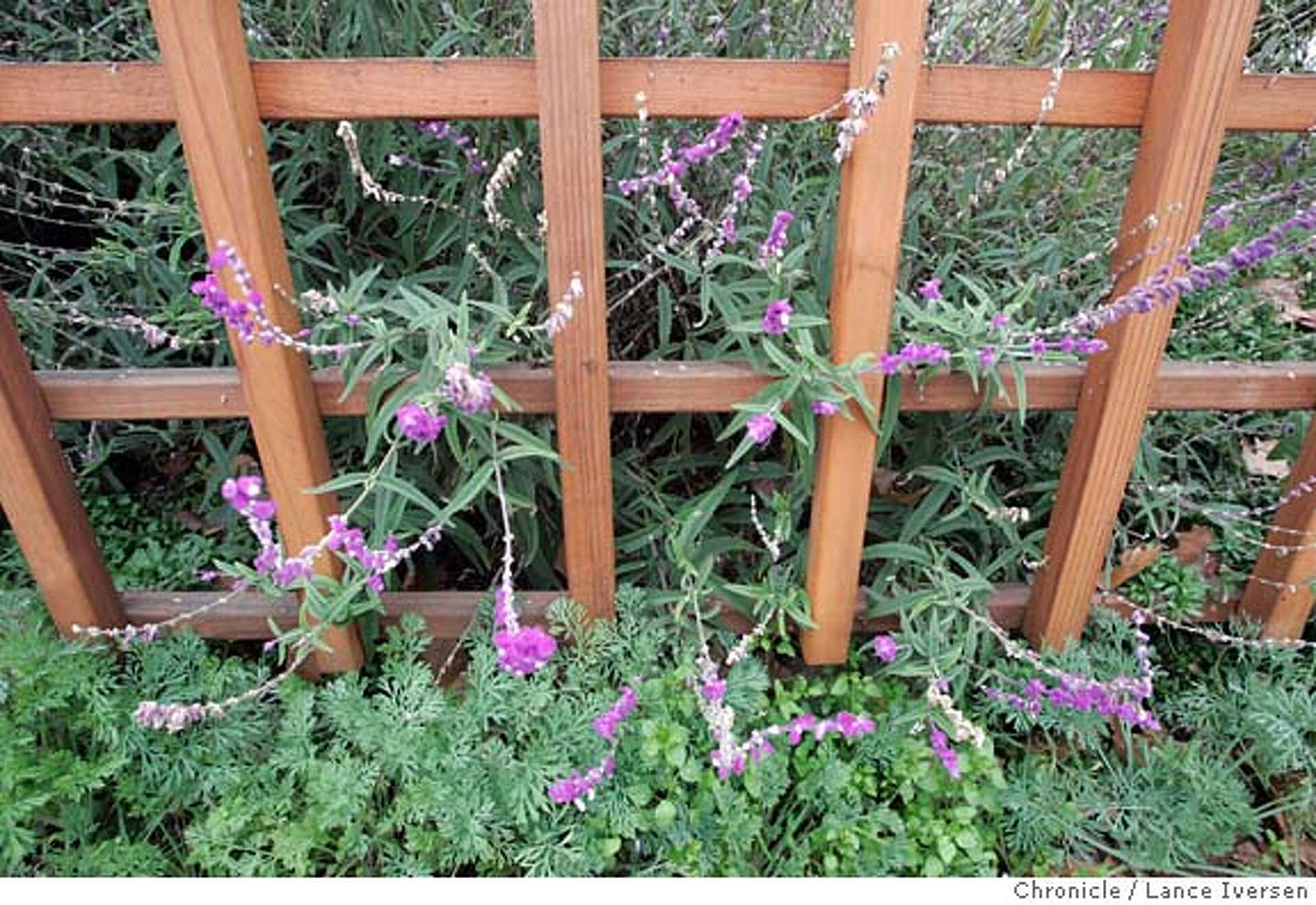 The art of fence building / A good design can, paradoxically, draw ...