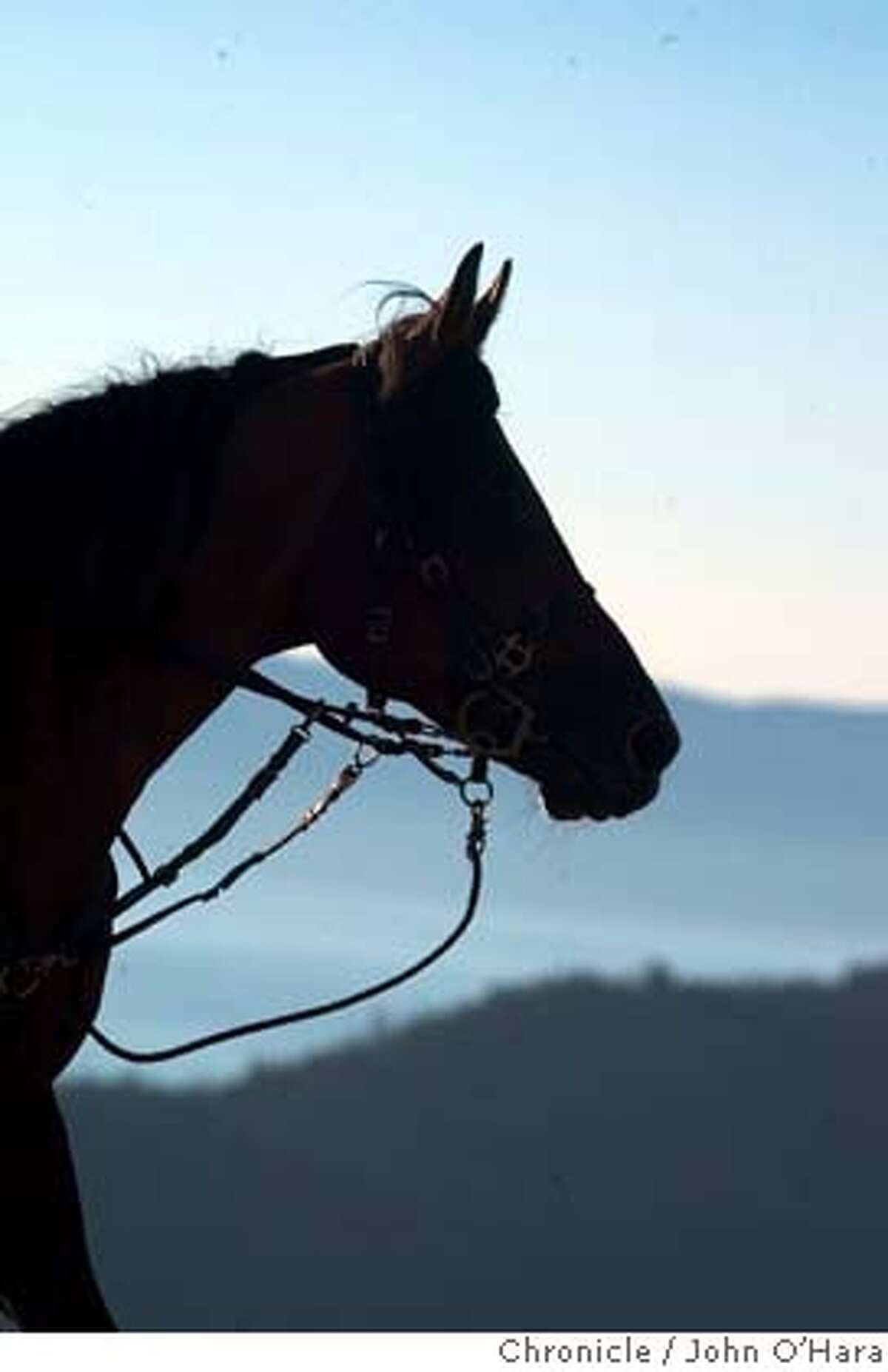 A race that endures / 244 riders, 100 miles, 24 hours -- after 50 runs ...