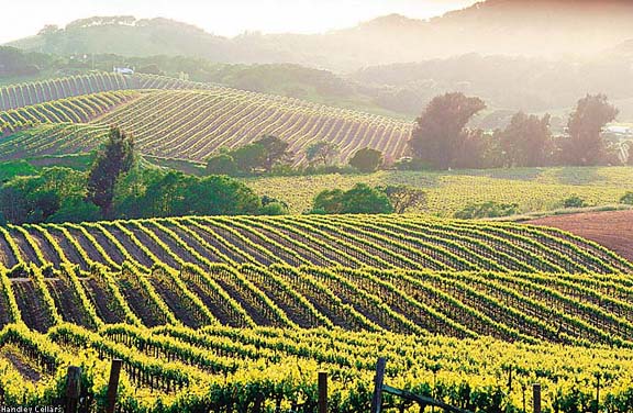 FOLLOW THE READER / CALIFORNIA